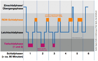 Tiefschlafphase - Warum gesunder schlaf so wichtig ist